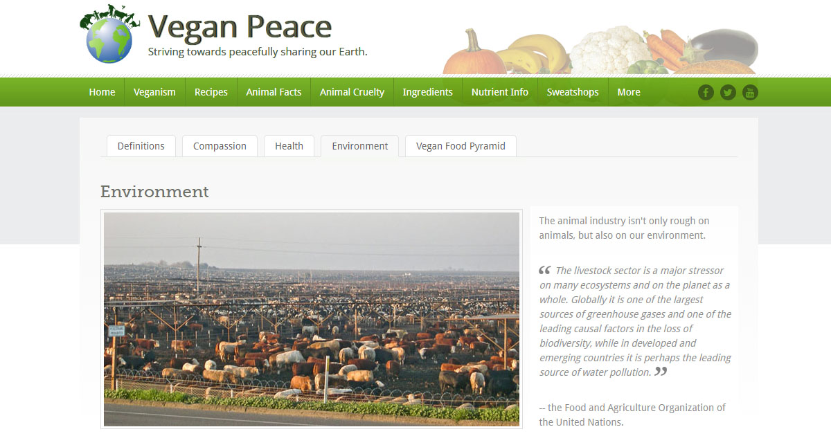 Veganism - Environment