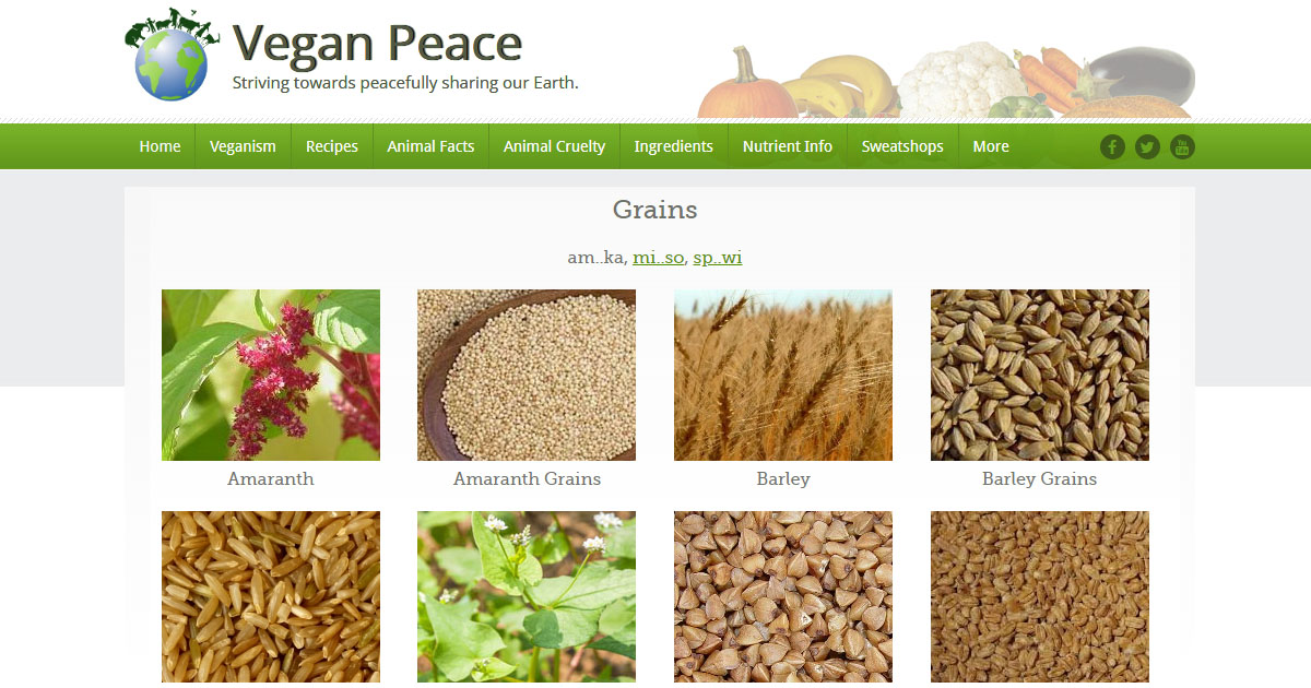 Nutrient Information - Grain Pictures