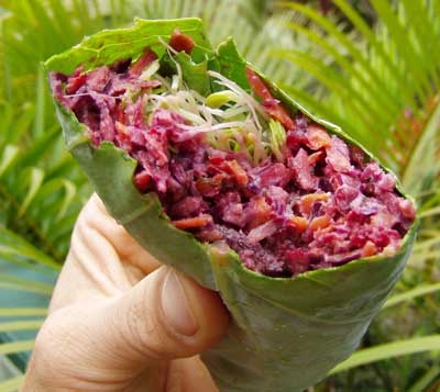 Vegan Recipes - Green Burritos